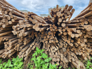 Lathes/Droppers | Bulk Timber Sales